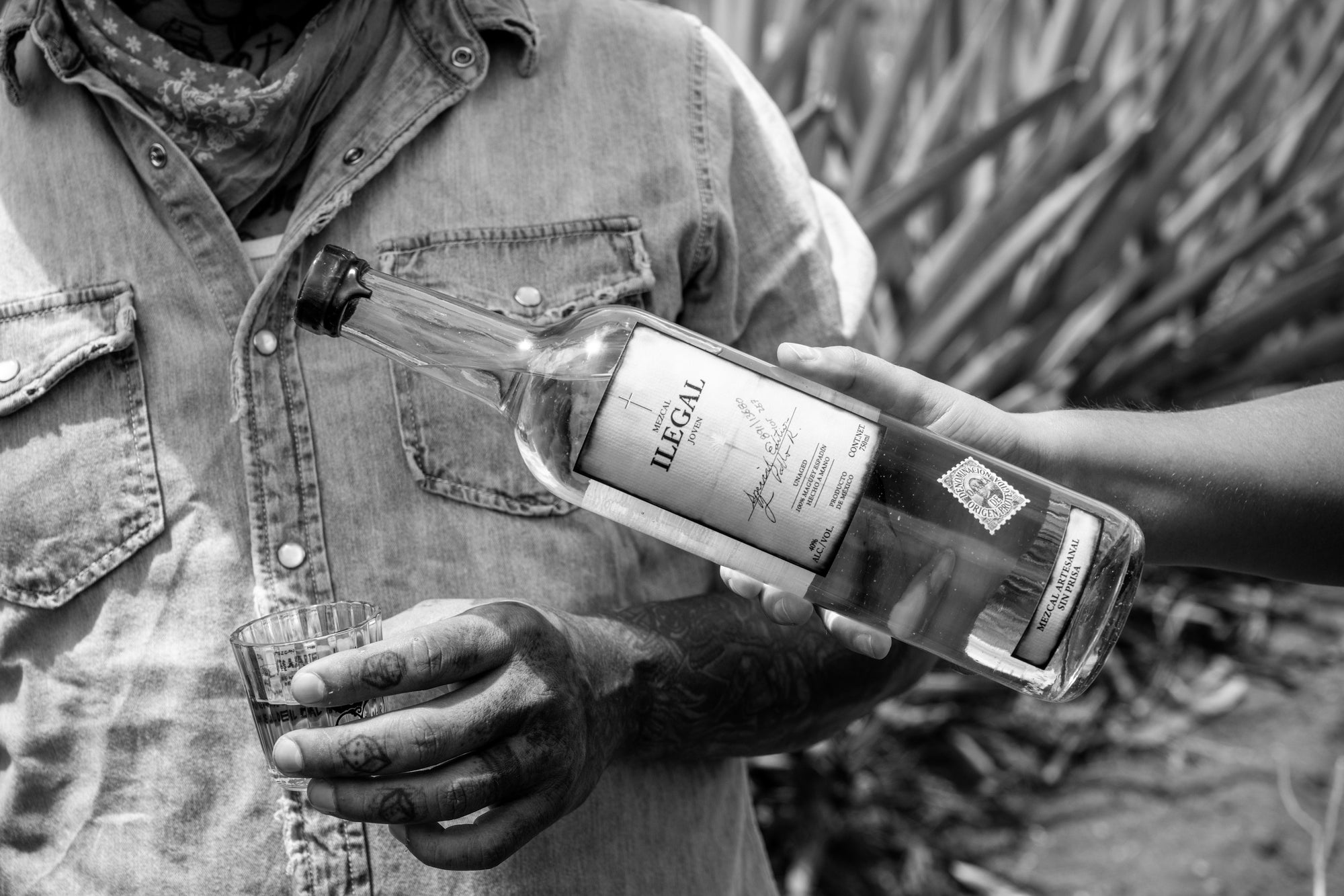 Ilegal Mezcal Training with Gilbert Marquez